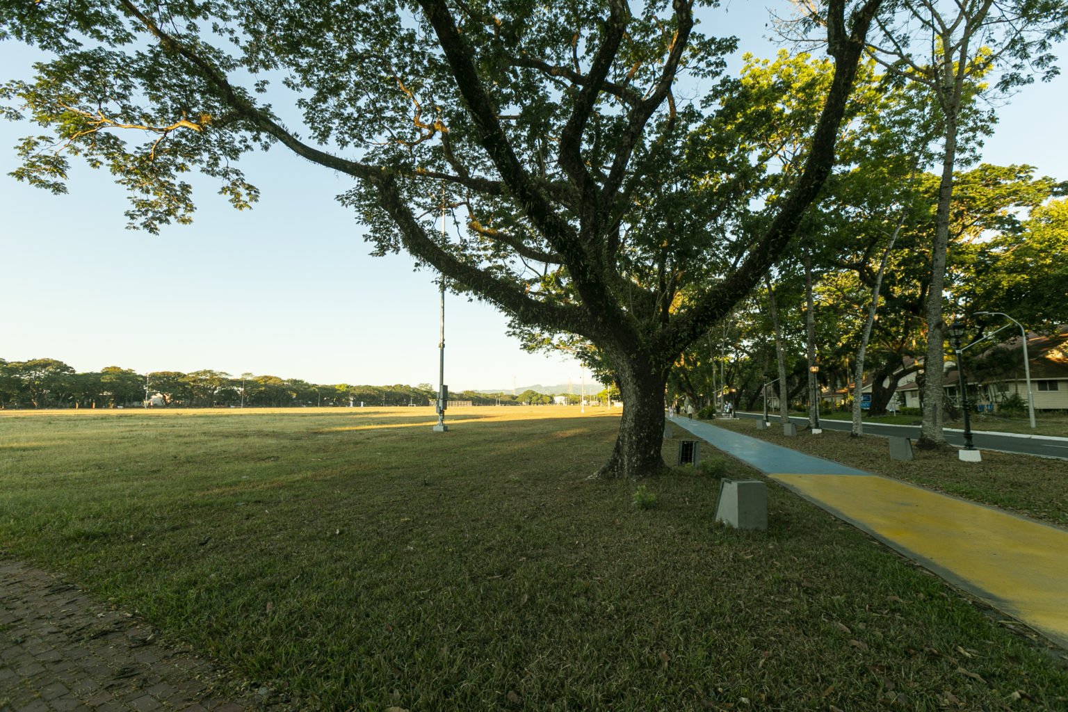 Parks, public places to reopen in Clark – The Voice Newsweekly