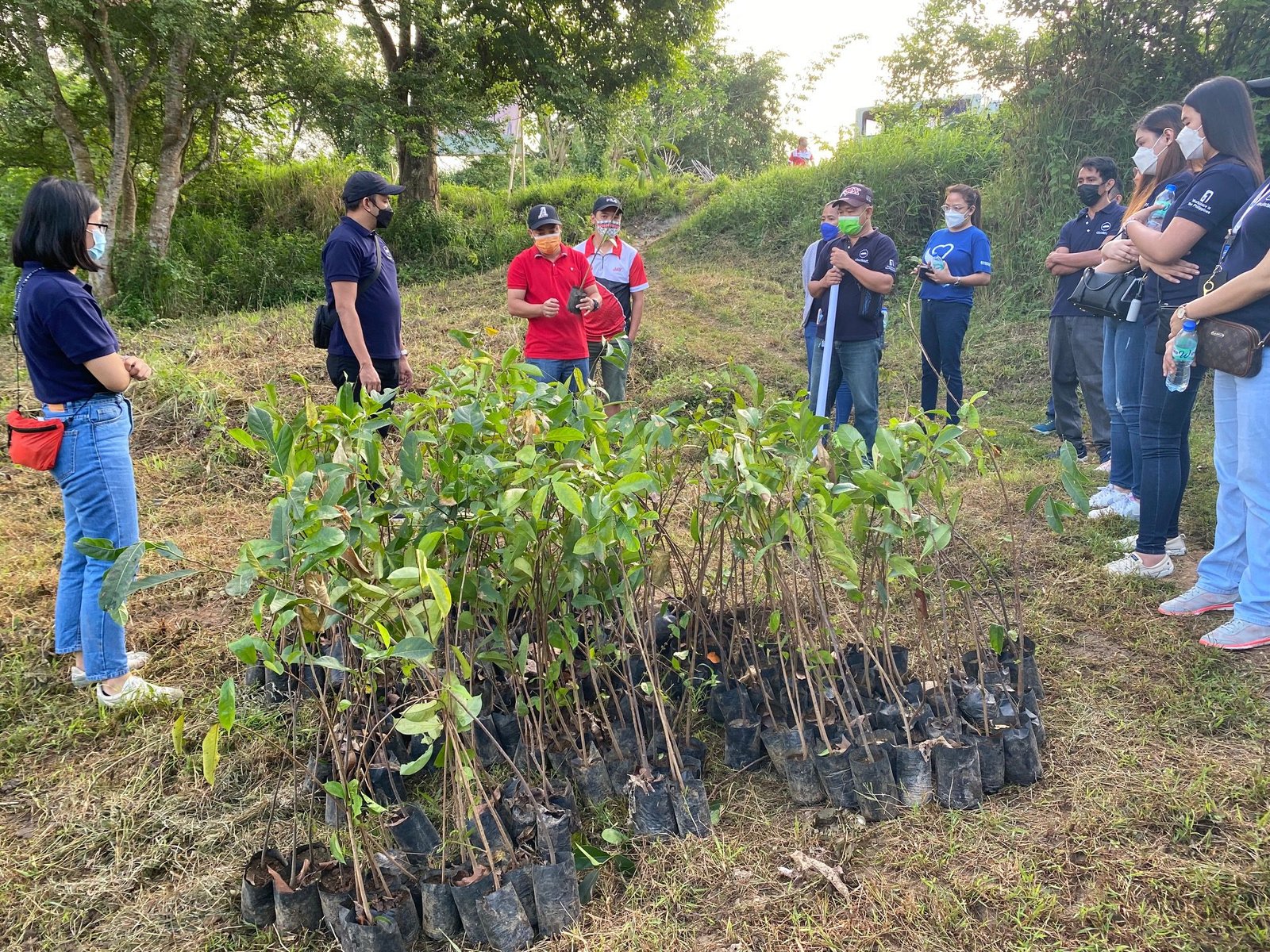 Cloudstaff conducts tree-planting activity – The Voice Newsweekly