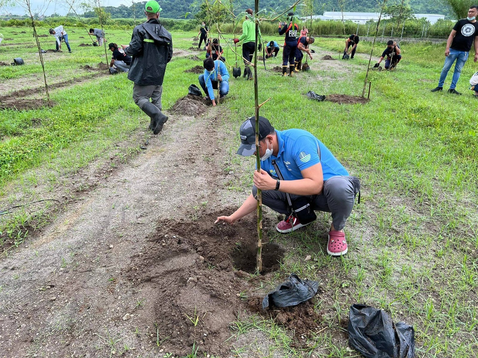 DENR plants 230 bamboo seedlings along Bamban river – The Voice Newsweekly