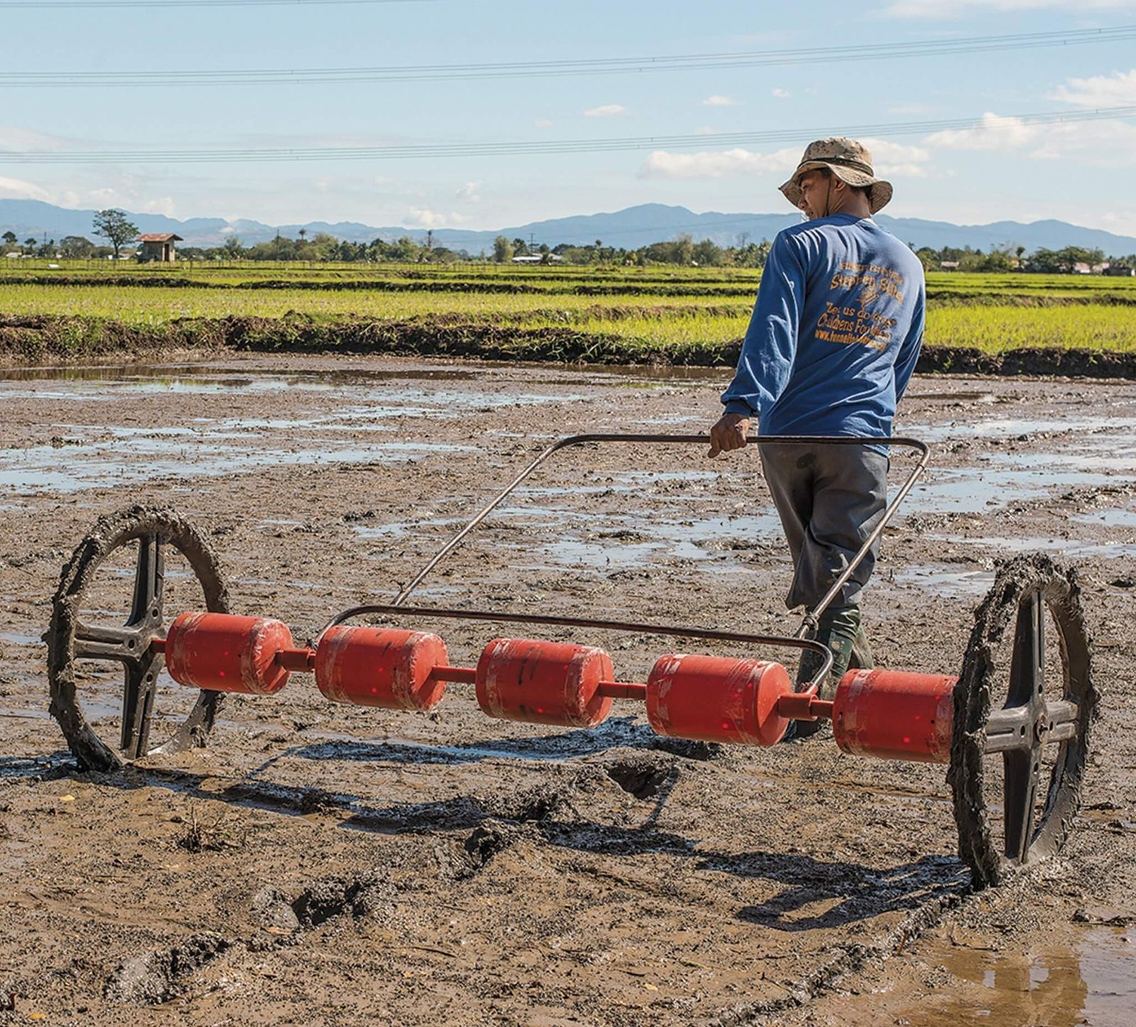 PhilRice gives tips in preparing healthy seedlings for rice planting ...