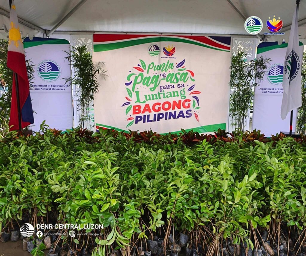 DENR DISTRIBUTES 5,000 SEEDLINGS IN CENTRAL LUZON – The Voice Newsweekly
